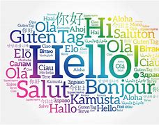 CattoCalculator.github.io | Just a simple calculator,can calculate ...